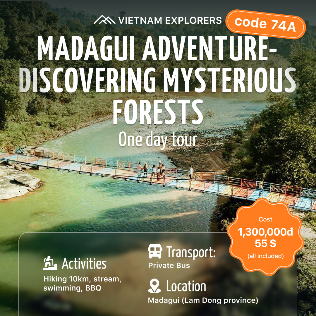 74A: Madagui Adventure: Discovering Mysterious Forests – Vietnam Hikers
